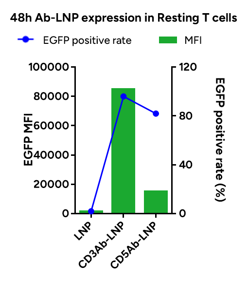 Targeted Lipid Nanoparticle (LNP) Formulation Services | GenScript