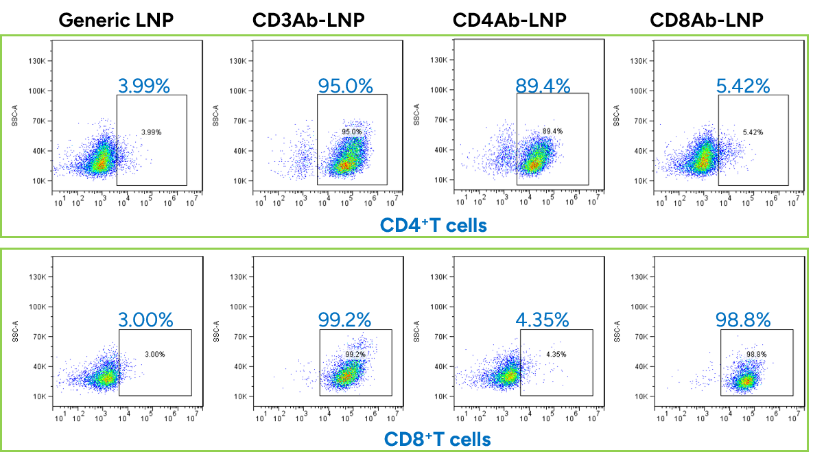 Targeted Lipid Nanoparticle (LNP) Formulation Services | GenScript