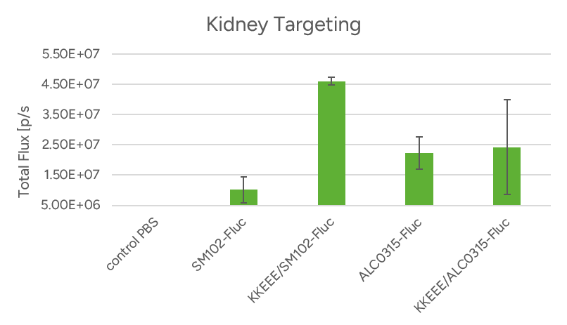 Targeted Lipid Nanoparticle (LNP) Formulation Services | GenScript