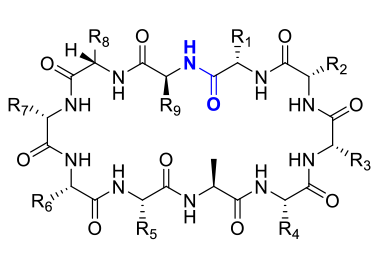Cyclic Peptide Synthesis Service