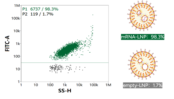 Lipid Nanoparticle Packaging for Advanced RNA Delivery | GenScript