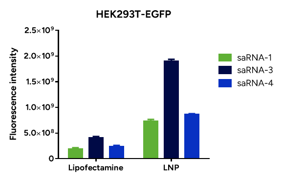 Lipid Nanoparticle Packaging for Advanced RNA Delivery | GenScript