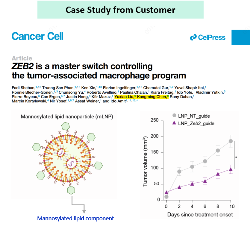 Targeted Lipid Nanoparticle (LNP) Formulation Services | GenScript