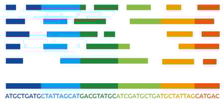 Whole Plasmid Sequencing Service | GenScript