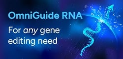 mRNA Applied Vector | GenScript