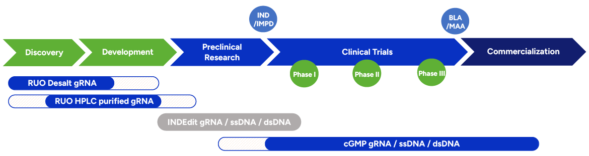 OmniGuide RNA for Gene Editing Systems | GenScript