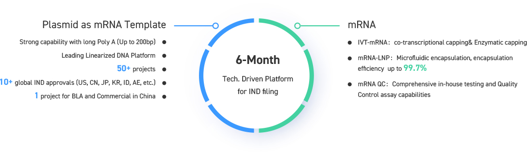 One Stop Solution for Gene Editing | GenScript