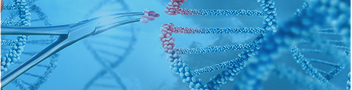 One Stop Solution for Gene Editing | GenScript