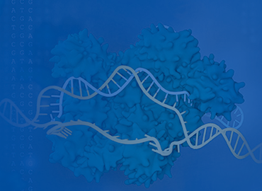 Year-end Sale of GenScript Products