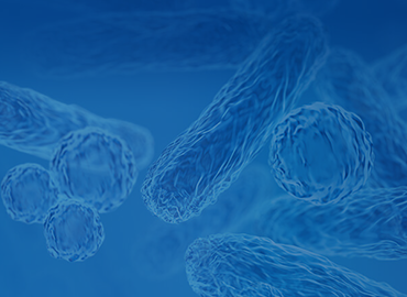 Year-end Sale of GenScript Products