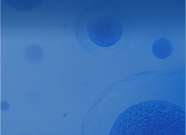 Year-end Sale of GenScript Products