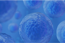 Antibody Discovery & Recombinant Protein Expression | GenScript