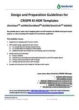 CRISPR Knock-in Comprehensive Guide