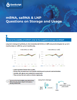 IVT (In vitro Transcription) mRNA Production