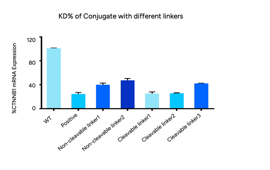 Small Nucleic Acid Drug Conjugation Service