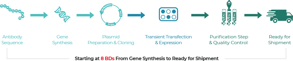 TurboCHO™ Antibody Expression in Singapore | GenScript