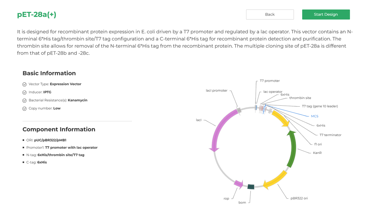 GenScript GenSmart™ Design | Simplify Your Plasmid Design Work