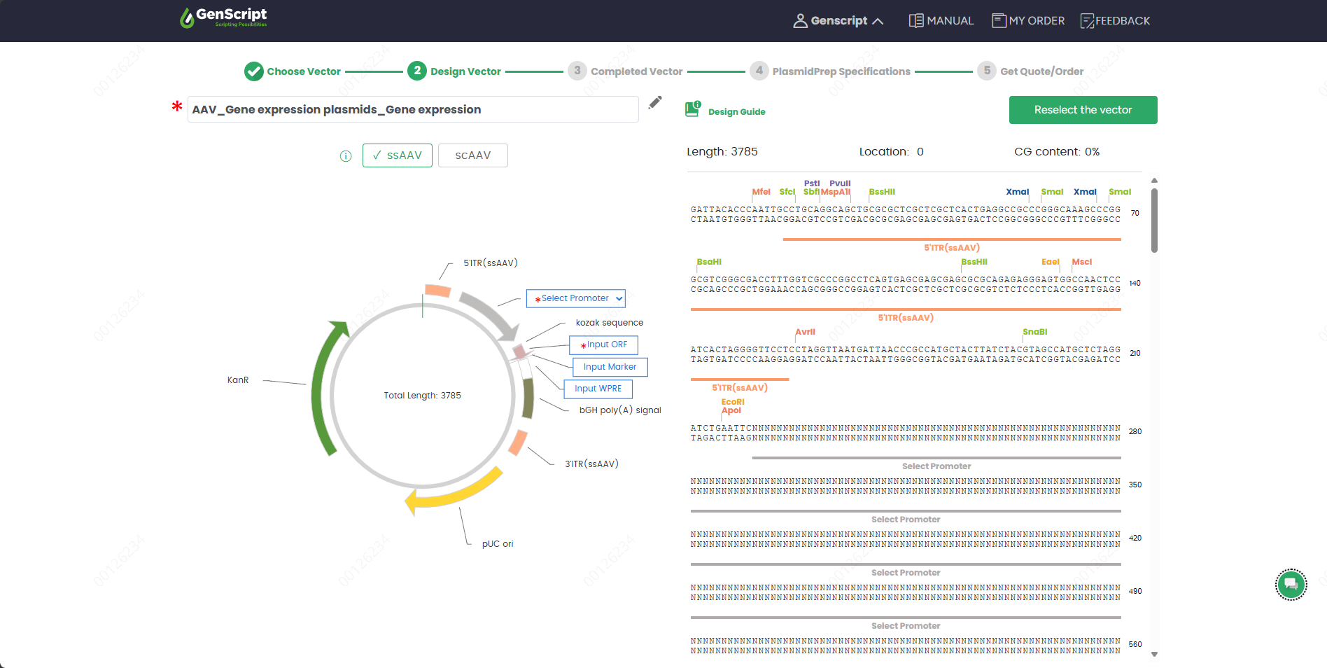 GenScript GenSmart™ Design | Simplify Your Plasmid Design Work
