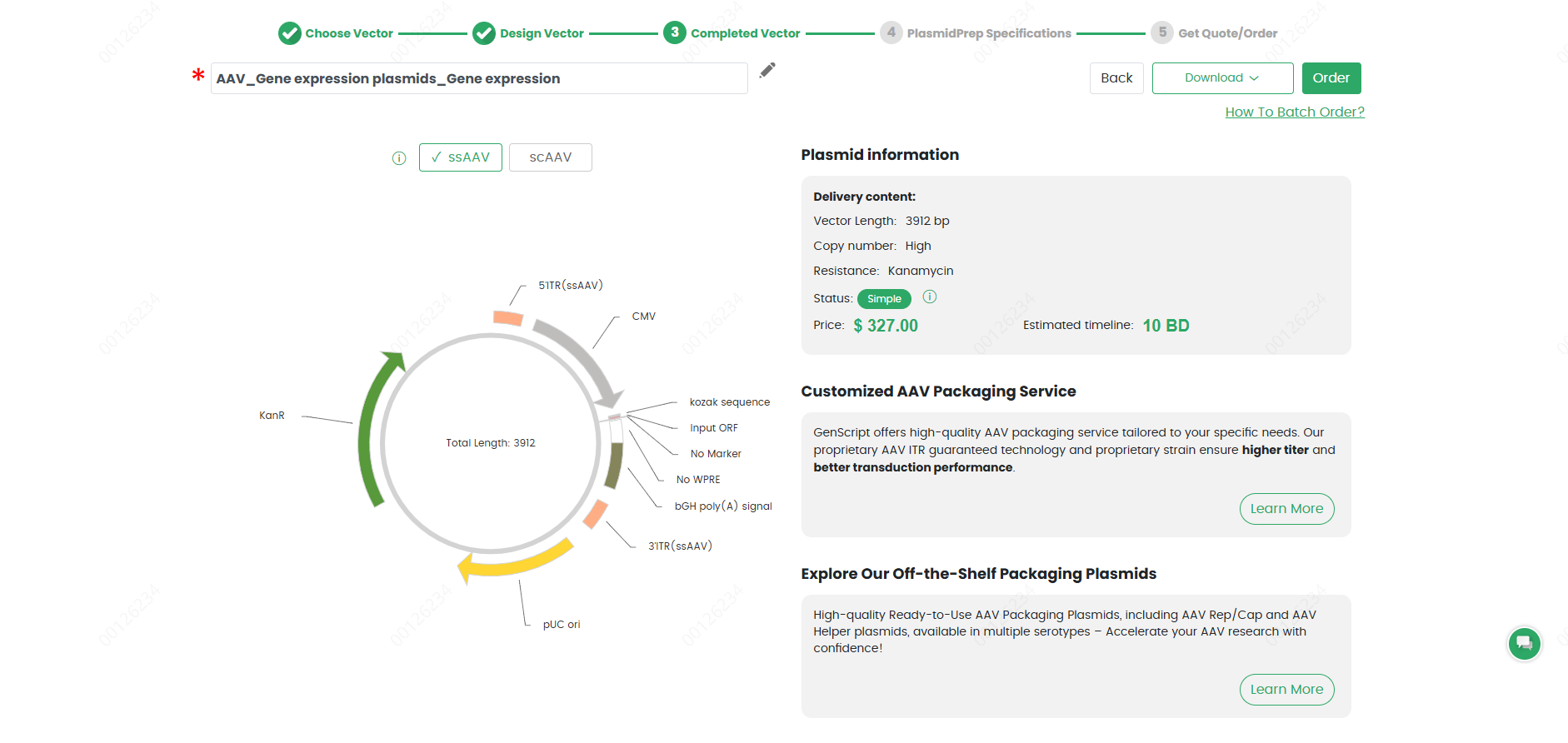 GenScript GenSmart™ Design | Simplify Your Plasmid Design Work