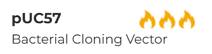 GenScript GenSmart™ Design | Simplify Your Plasmid Design Work