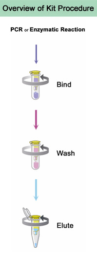 QuickClean 5M PCR Purification Kit - GenScript