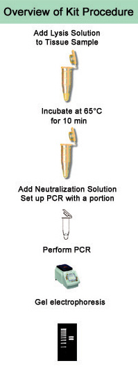 TissueDirect™ Multiplex PCR System - GenScript