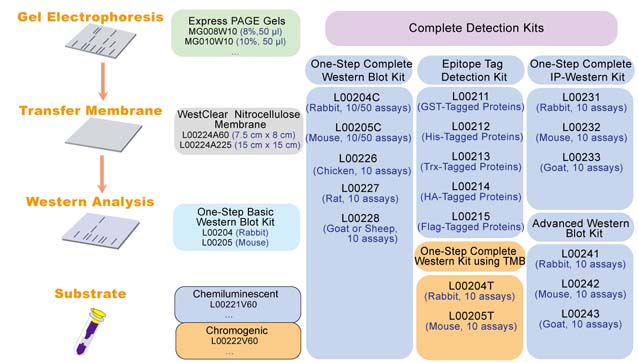 One Step Western Kits